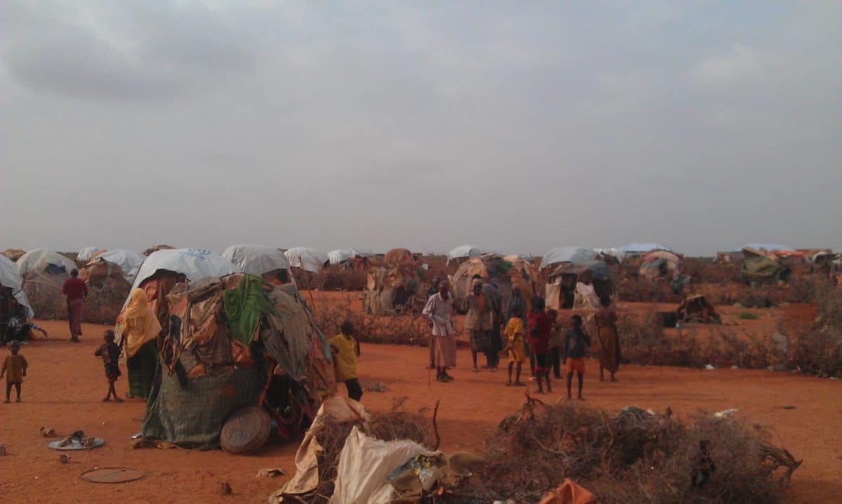 IMAG0718 – Kindertränen